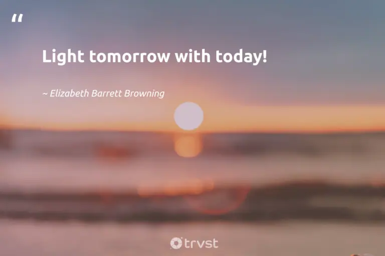 85 Light Quotes And Sayings To Brighten Your Day (2025)