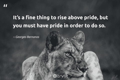 77 Pride Quotes For Self Acceptance And Confidence