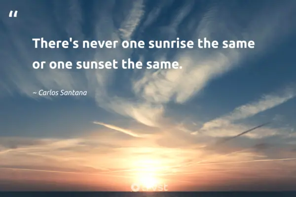 89 Sunset Quotes To Appreciate The Beauty of The Moment (2025)