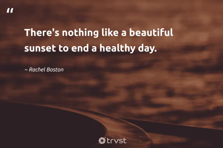89 Sunset Quotes To Appreciate The Beauty of The Moment (2025)