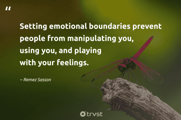 59 Boundaries Quotes About Saying No & Breaking Barriers (2024)
