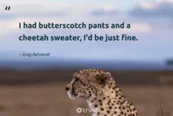 25 Cheetah Quotes to Inspire Agility and Adaptability