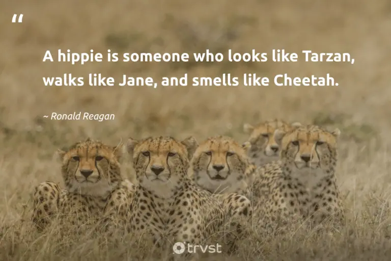 25 Cheetah Quotes to Inspire Agility and Adaptability