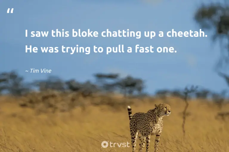 25 Cheetah Quotes to Inspire Agility and Adaptability