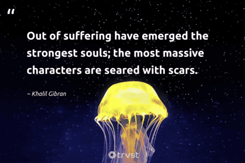 80 Dark Quotes About its Haunting Beauty That Let Hope Shine (2024)