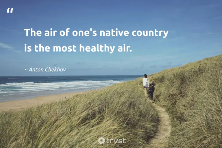 43 Fresh Air Quotes to Fill Your Lungs and Souls (2025)