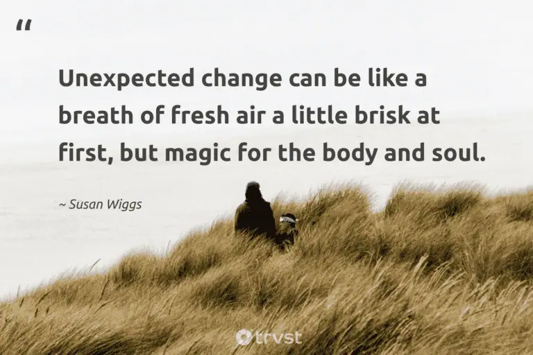 43 Fresh Air Quotes to Fill Your Lungs and Souls (2025)