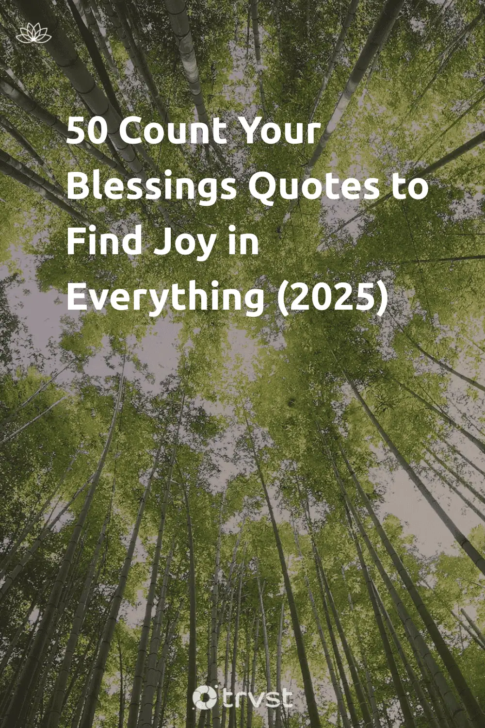 50 Count Your Blessings Quotes to Find Joy in Everything (2025)