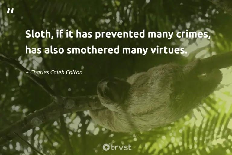 25 Sloth Quotes About Diligence and Slowing Down