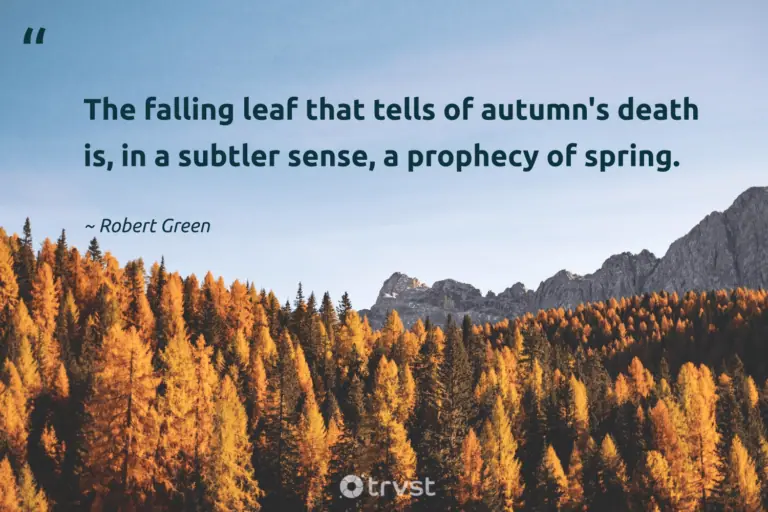 35 Inspiring Leaf Quotes to Get You Through The Seasons