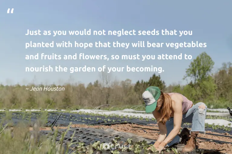 38 Seed Quotes to Inspire Growth, Patience and Resilience (2025)