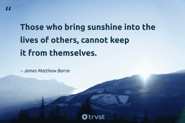 93 Sunshine Quotes & Sayings To Embrace Warmth (2024)