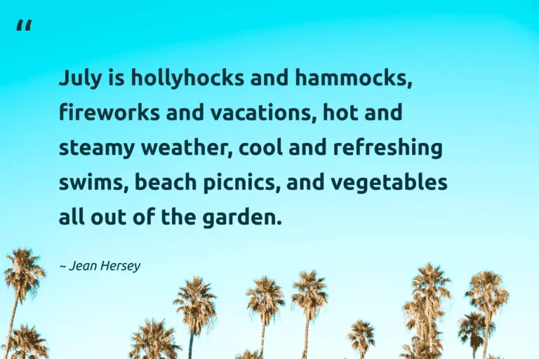 40 July Quotes To Embrace Warmth And Freedom