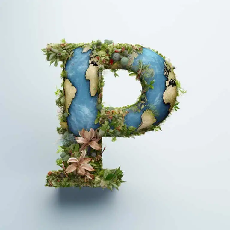 88 Positive Words That Start With P — From Pacify to Pulchritude