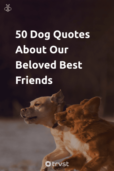 71 Dog Quotes About Our Beloved Best Friends (2025)