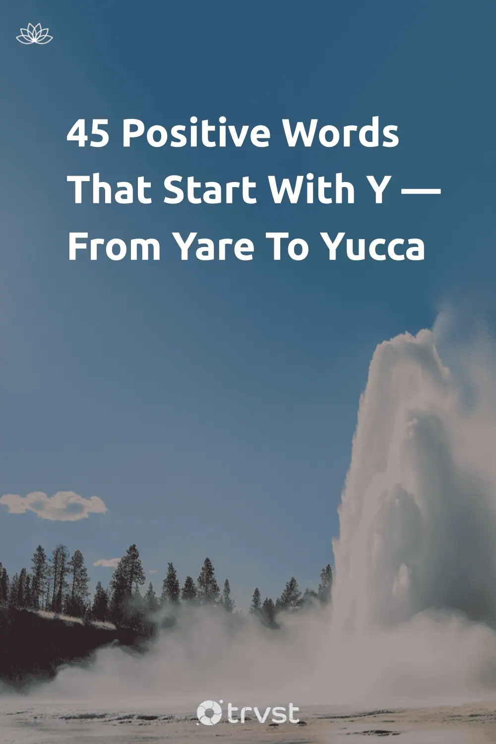 45 Positive Words That Start With Y — From Yare To Yucca