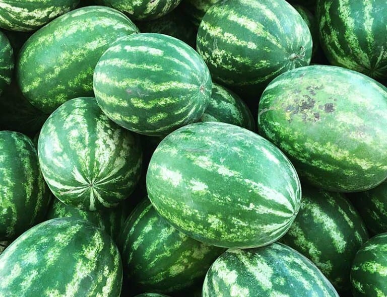 How To Pick A Good Watermelon - Everything You Need to Know