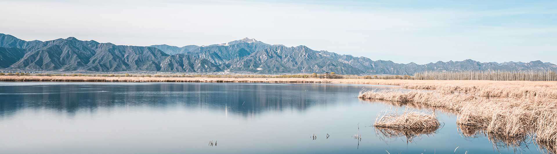 Wetlands and Climate Change - Impacts and Importance