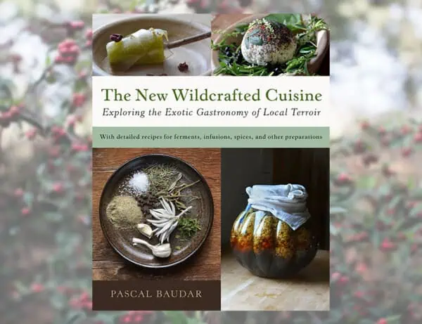 20 Best Books On Foraging To Explore Nature's Pantry