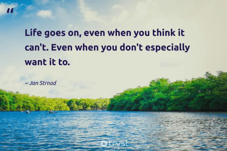 60 Life Goes On Quotes That Uplift And Teach Resilience