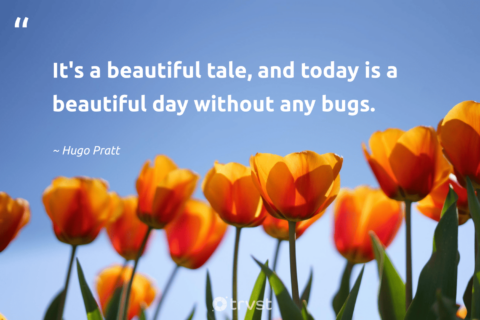 45 Beautiful Day Quotes for Everyday Inspiration (2025)