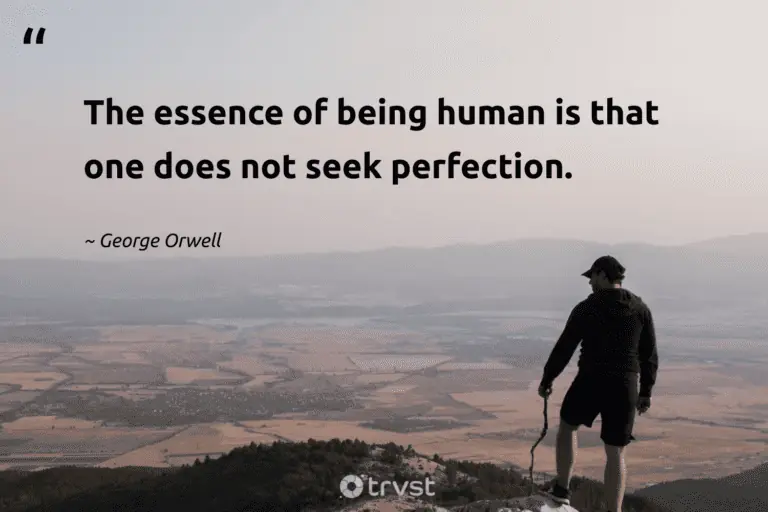 31 Perfection Quotes About Conscious Pursuit Of Excellence