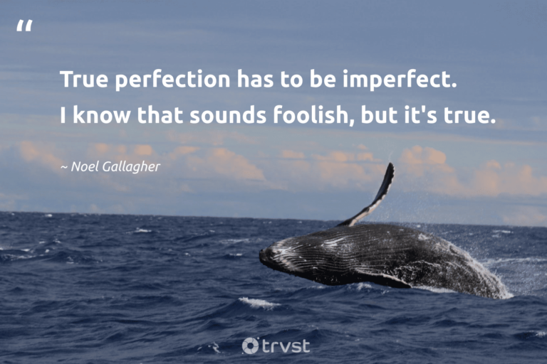 31 Perfection Quotes About Conscious Pursuit Of Excellence