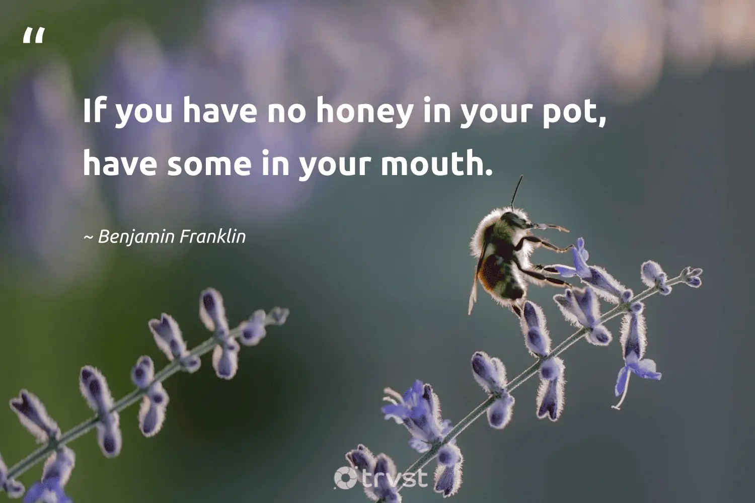 68 Bee Quotes Buzzing With Lessons And Reminders (2025)