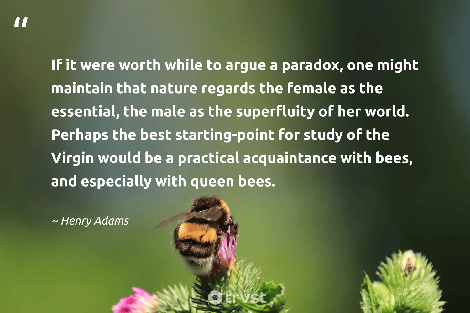Bee Work Quotes
