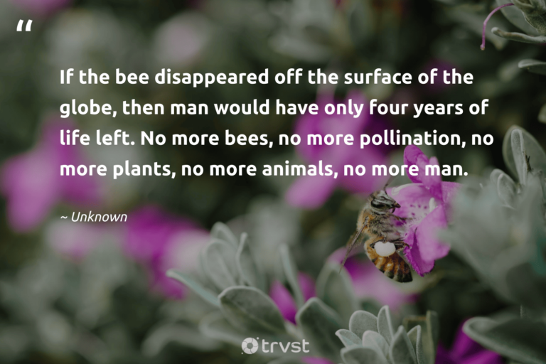 68 Bee Quotes Buzzing With Lessons And Reminders (2025)