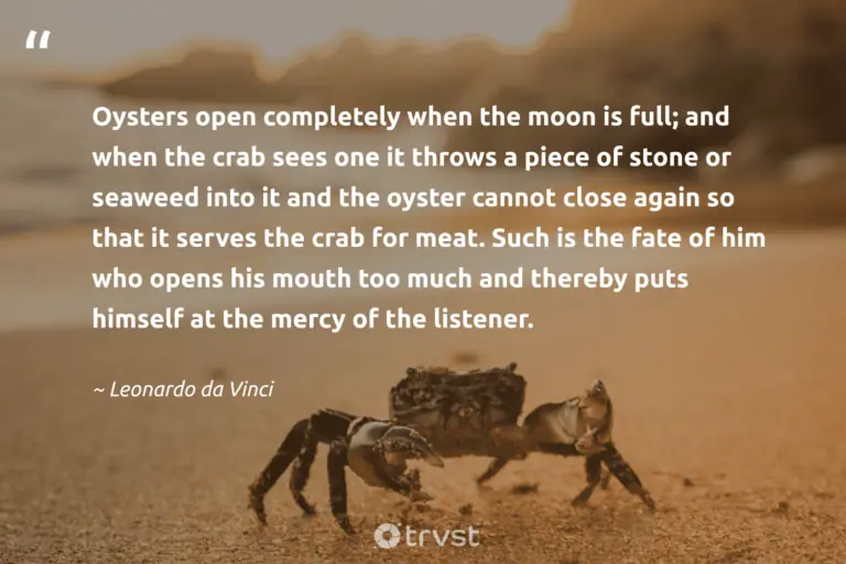 25 Crab Quotes Full Of Crustacean Wisdom