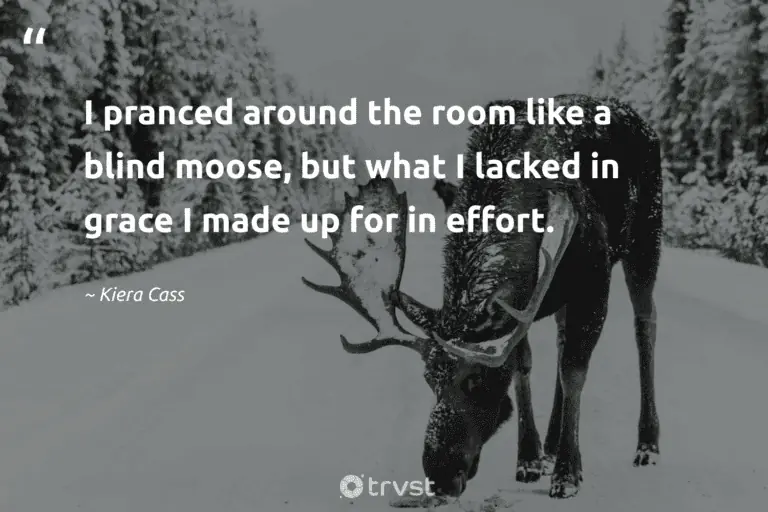 25 Moose Quotes About The Graceful Giant Of The North