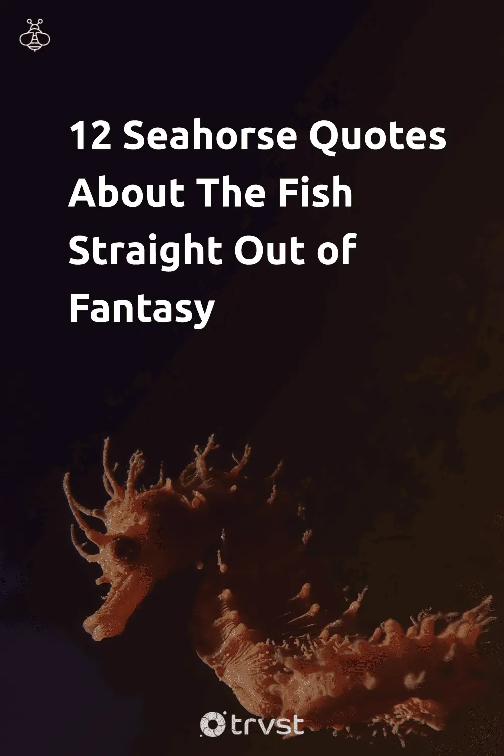 12 Seahorse Quotes About The Fish Straight Out of Fantasy