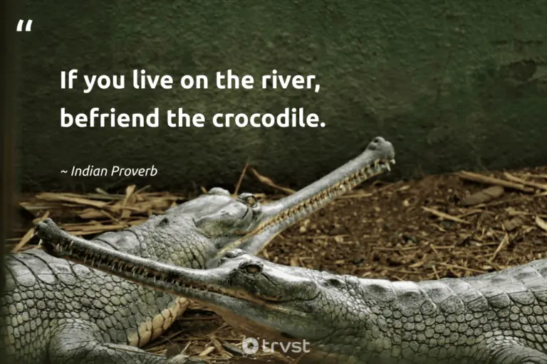18 Crocodile Quotes About The Mighty Reptiles