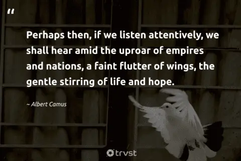 40 Dove Quotes About Our Peaceful Feathered Friends