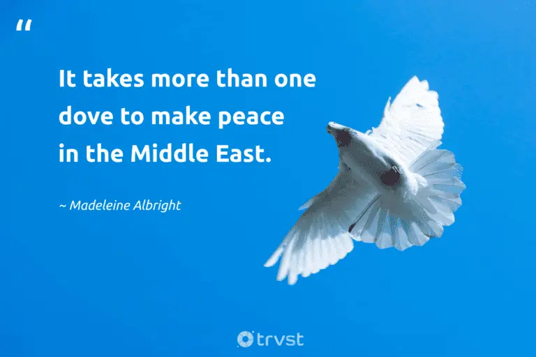 40 Dove Quotes About Our Peaceful Feathered Friends
