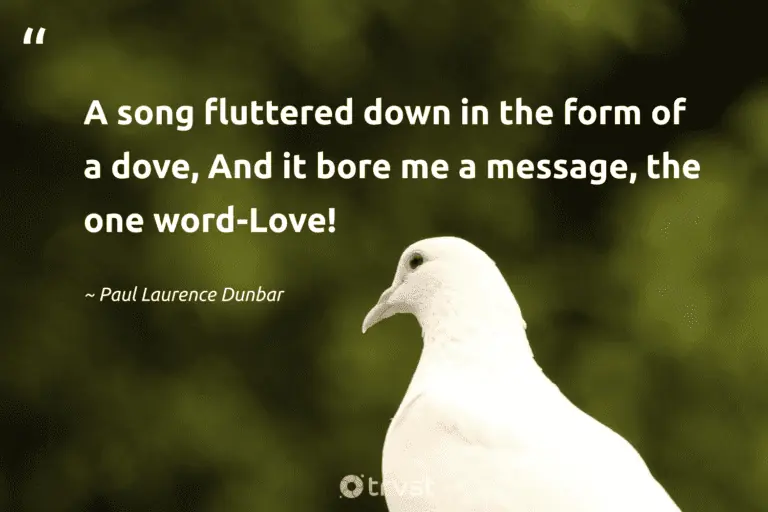 40 Dove Quotes About Our Peaceful Feathered Friends