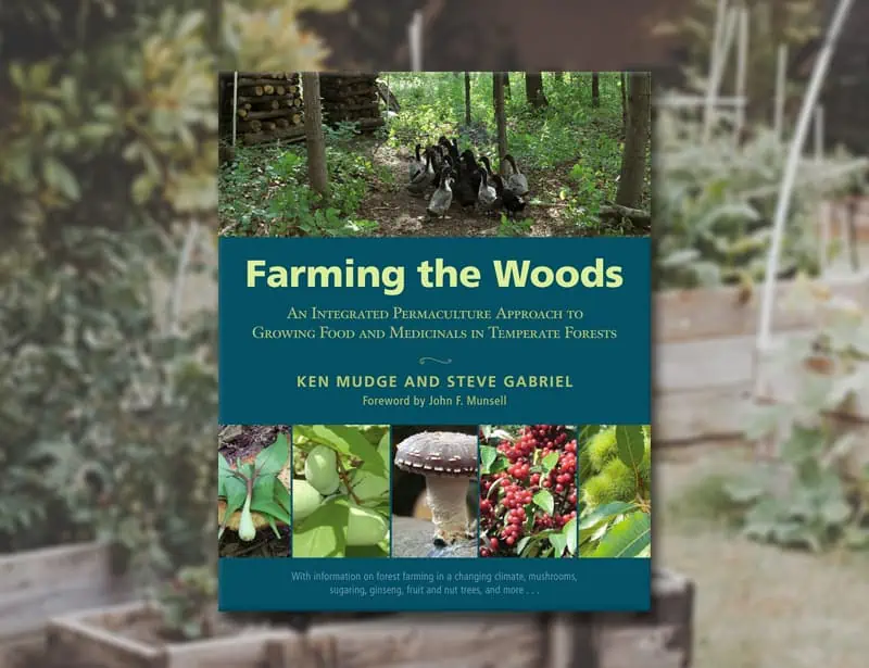 16 Best Permaculture Books for Sustainable Food & Gardening