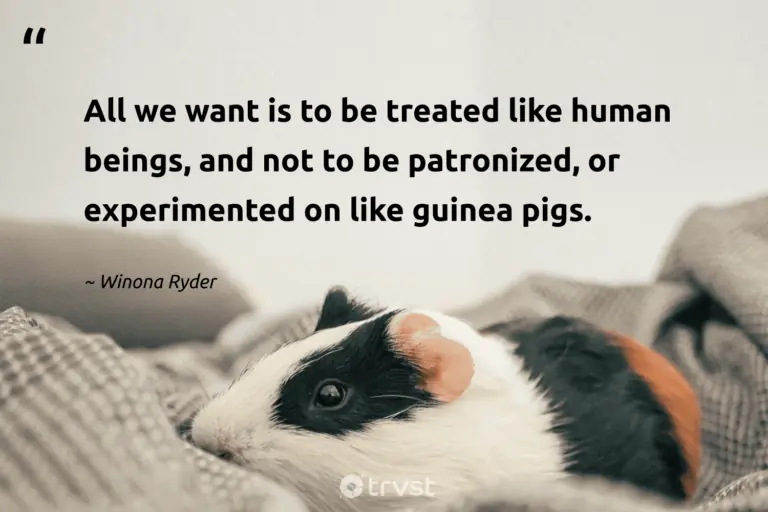 10 Guinea Pig Quotes Celebrating The Cute Companions