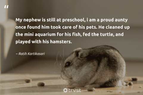 10 Hamster Quotes About These Adorable Rodents