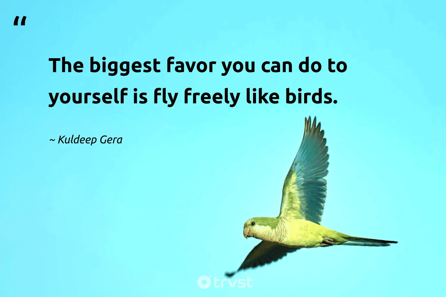 Birds Fly Quotes QuotesAndWisdom.com Quote: Wild Birds Fly...