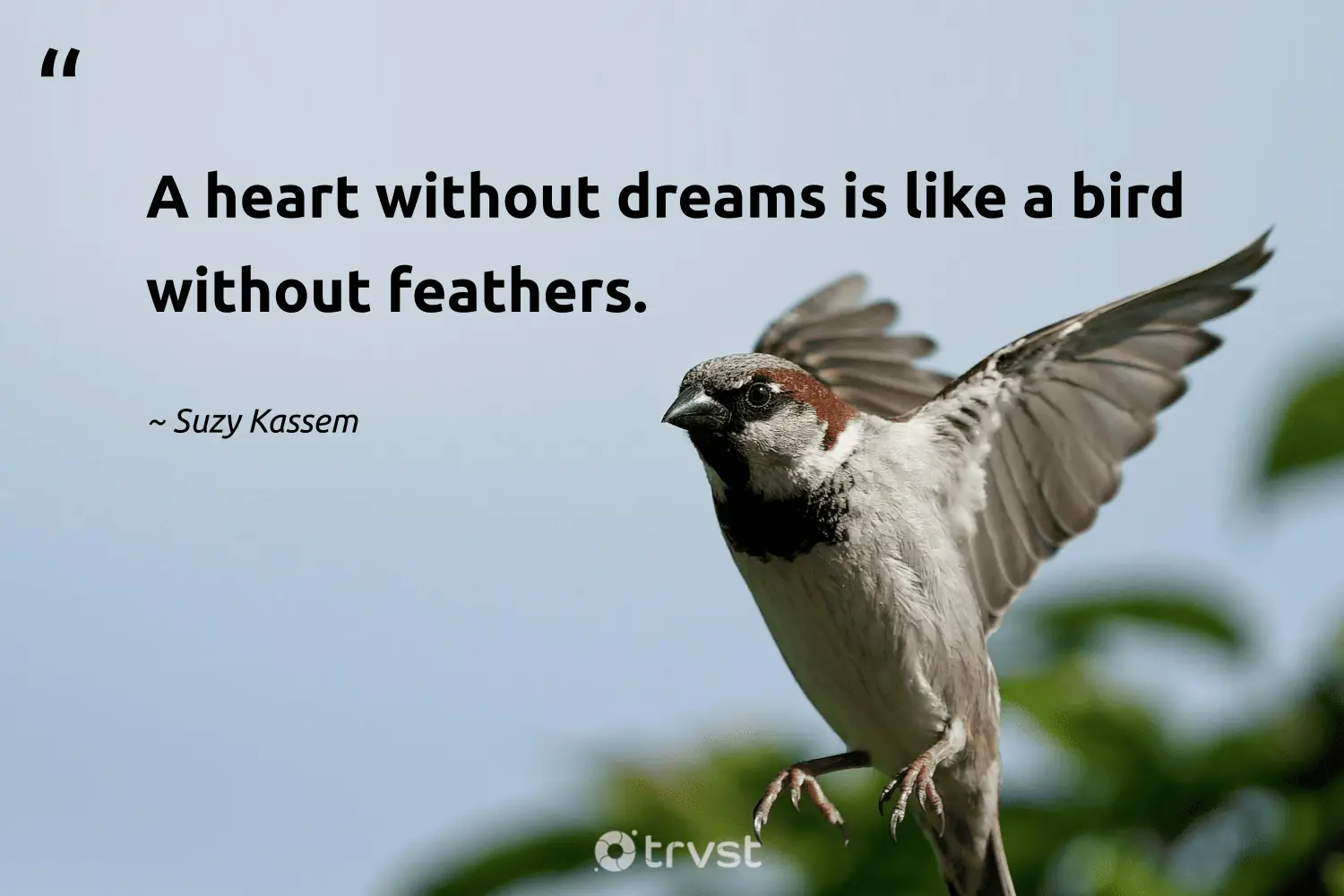 86 Bird Quotes And Sayings About Freedom And More (2024)