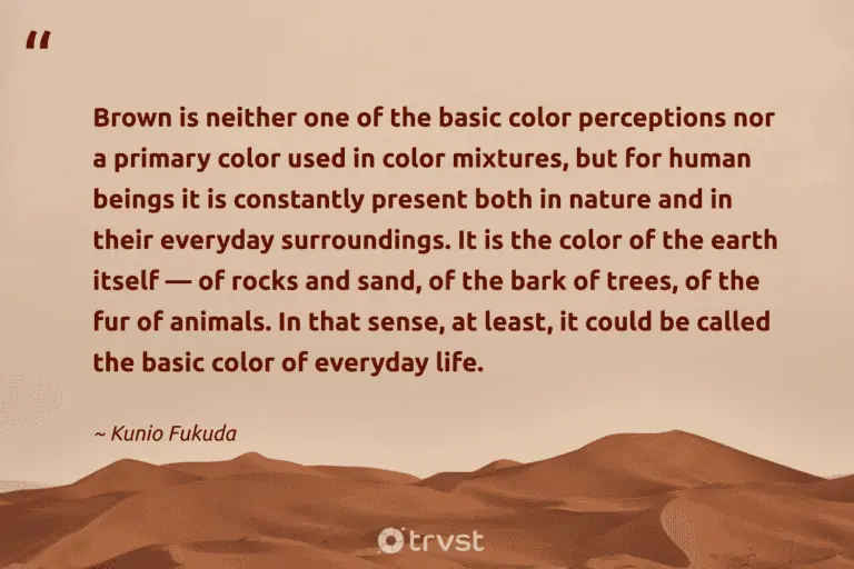 20 Brown Quotes Reflecting Nature And Stability