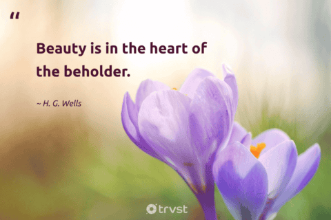 77 Motivational Heart Quotes to Awaken Your Passion and Purpose