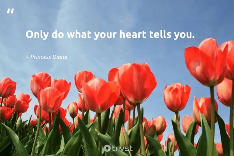 77 Motivational Heart Quotes to Awaken Your Passion and Purpose