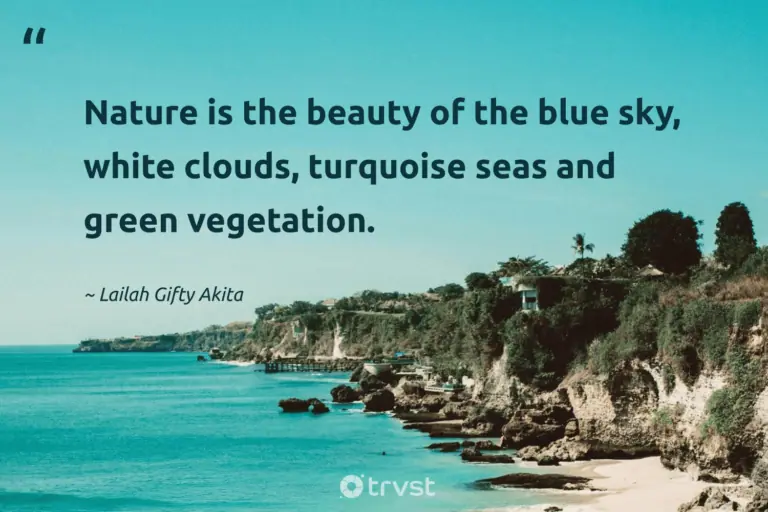 28 Turquoise Quotes Channeling Tranquility