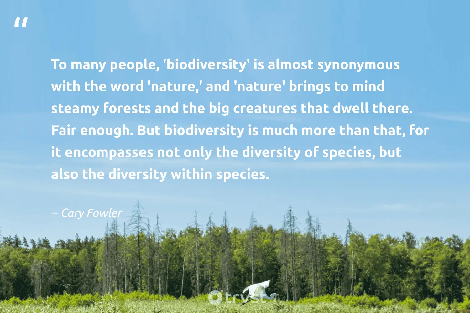 40 Biodiversity Quotes Celebrating And Protecting All Life