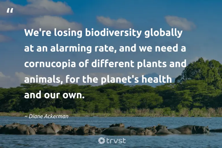 40 Biodiversity Quotes Celebrating And Protecting All Life
