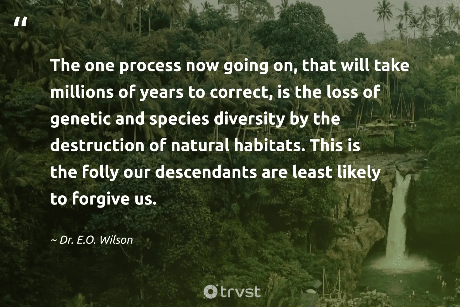 40 Biodiversity Quotes Celebrating And Protecting All Life
