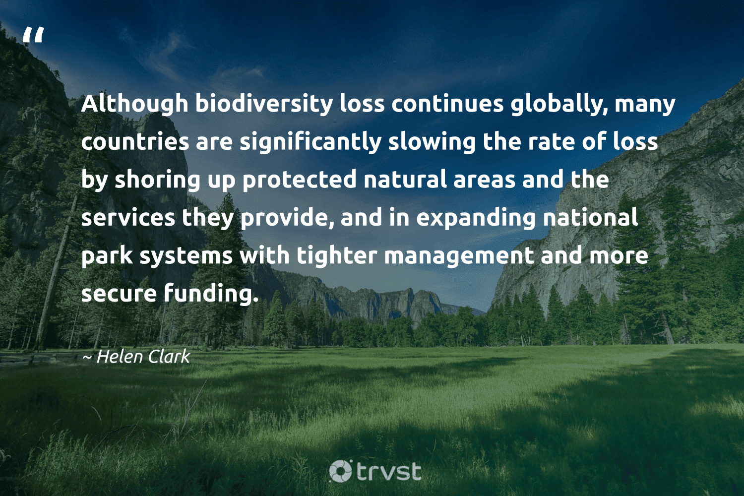 40 Biodiversity Quotes Celebrating And Protecting All Life